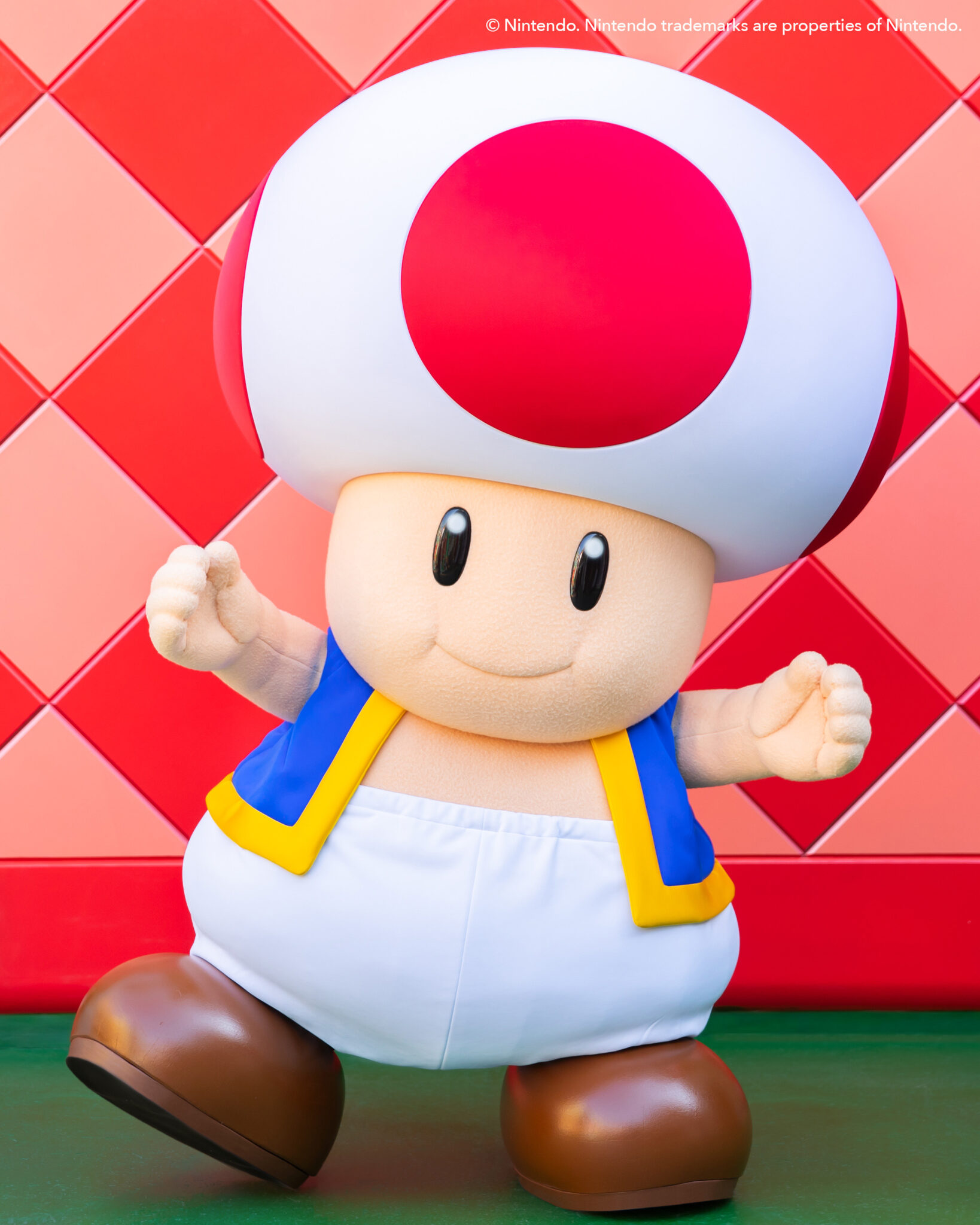 Toad está no SUPER NINTENDO WORLD do Universal Studios Hollywood ...